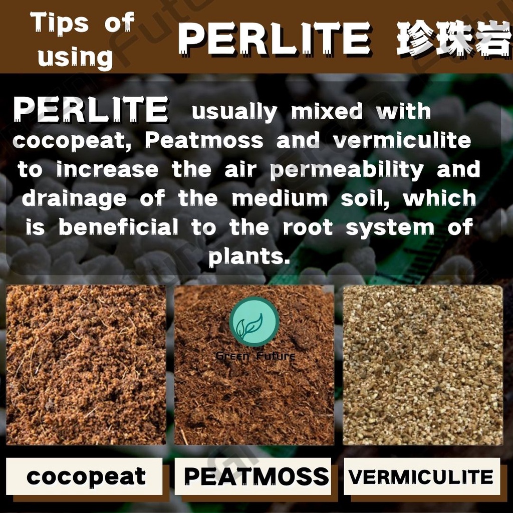 Perlite 珍珠岩 3-5mm For Cactus & Succulents soil Volcanic Perlite ...