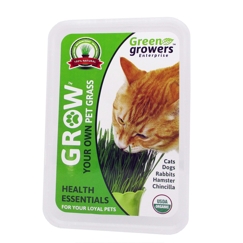 Biji Benih Rumput Kucing/Hot Pet Grass Cat Grass Self Grow Kit (Kit ...