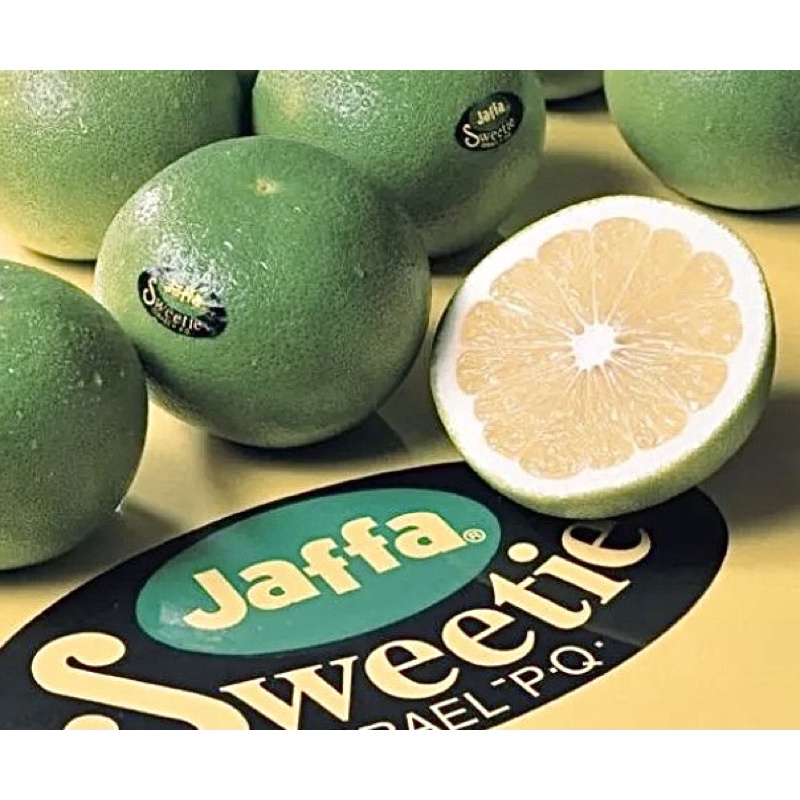 WONDER FRUITS - FRESH SEASONAL IMPORTED FRUITS / BUAH IMPORT 季节进口水果 ...