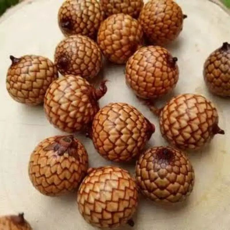 Large dried rattan fruit (5pcs) | Shopee Malaysia