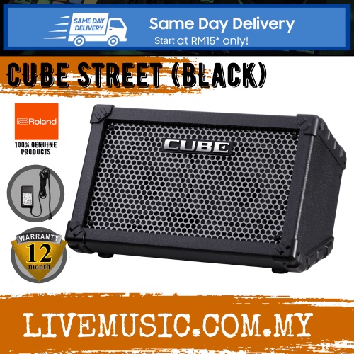 Roland CUBE STEX - Street Ex Cube 50-watt, 2x8" Battery Powered Combo ...