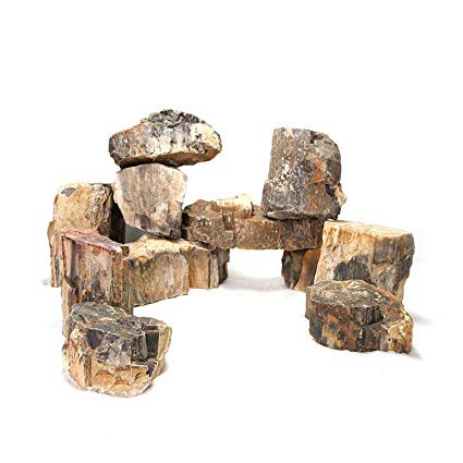 Aquascaping Stone - Kei / Koke / Wood Fossil (5kg) | Shopee Malaysia