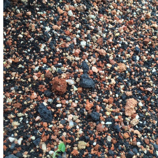 Black & Red Lava Rock/ Pasir Malang Hitam & Merah 火山岩 (Fine/Coarse) 1kg ...