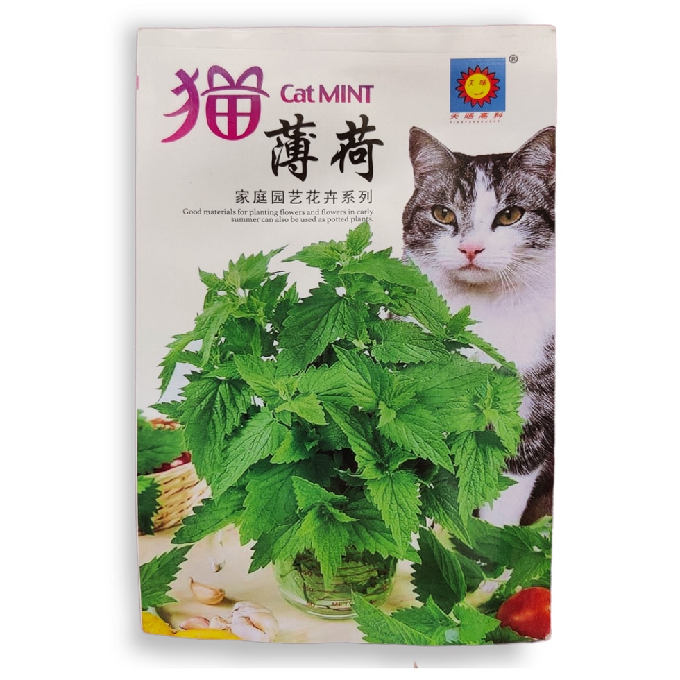 Mint Seed Pelbagai Biji Benih Pudina Spear Mint Herbs Seeds Spearmint ...