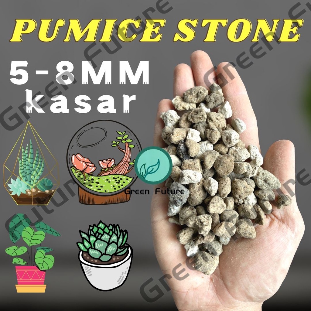 WHOLESALES 3-5mm 5-8mm PUMICE STONE CACTUS SUCCULENT soil batu apung 轻石 ...