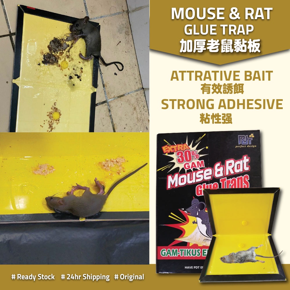 Perangkap Tikus Extra Gum Rat Glue Trap Extra Sticky Foldable 超粘老鼠贴板 ...
