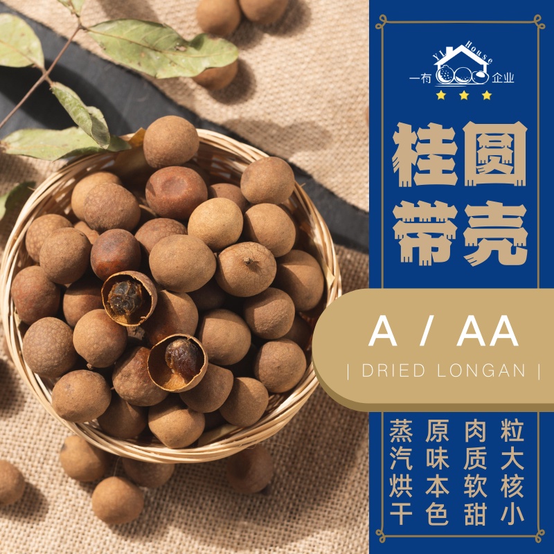 Thailand Dried Longan With Shell Grade AA 泰国桂圆干带壳 AA 500g | Shopee Malaysia