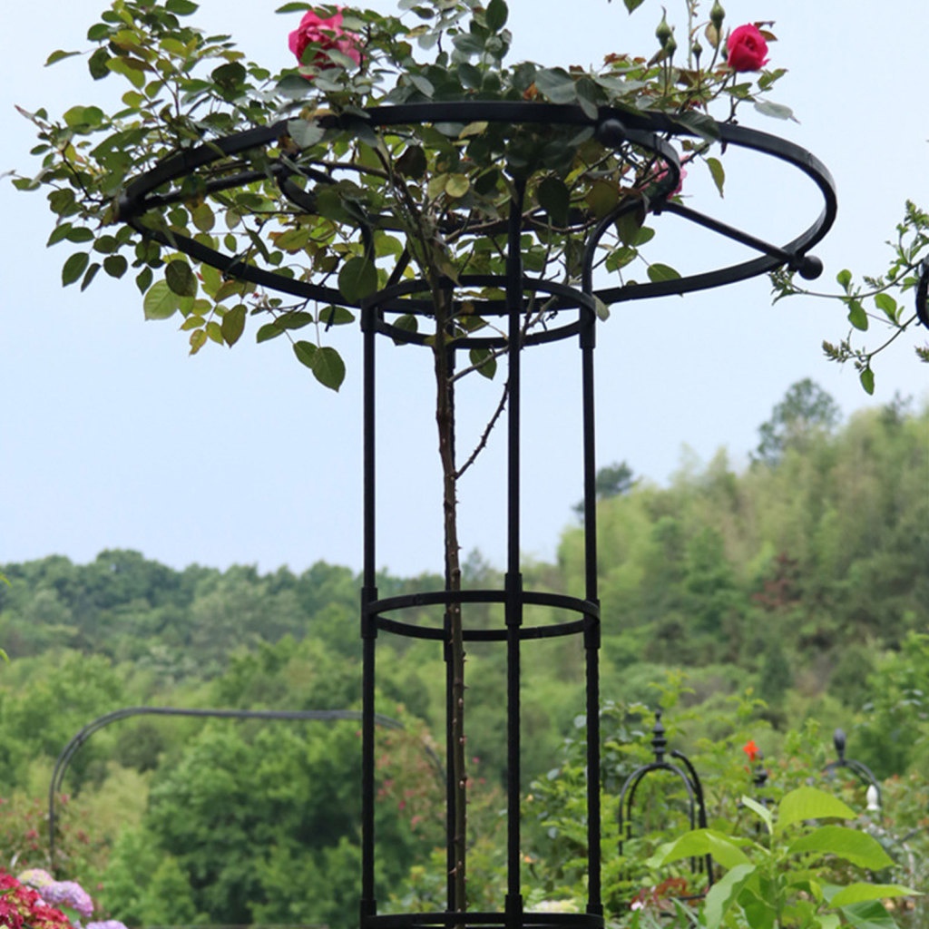 90cm-210cm Climbing Vine Rack Plant Trellis Umbrella Design Iron ...
