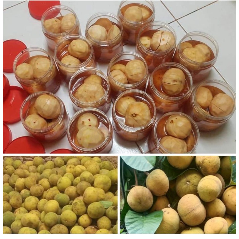 jeruk setol / jeruk sentul homemade. | Shopee Malaysia