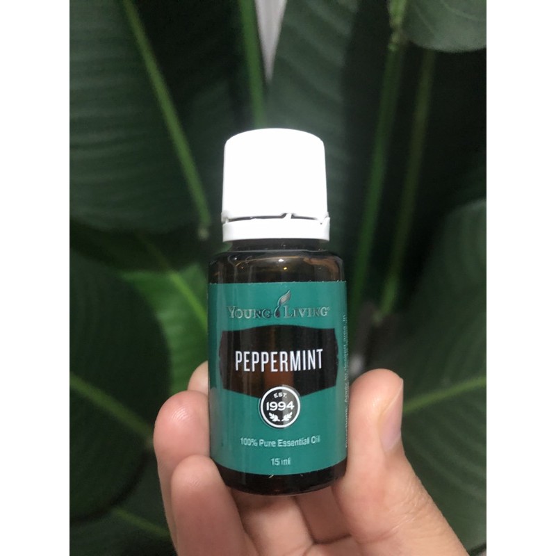 (Ready Stock) Peppermint EO 💯% Original Young Living | Shopee Malaysia