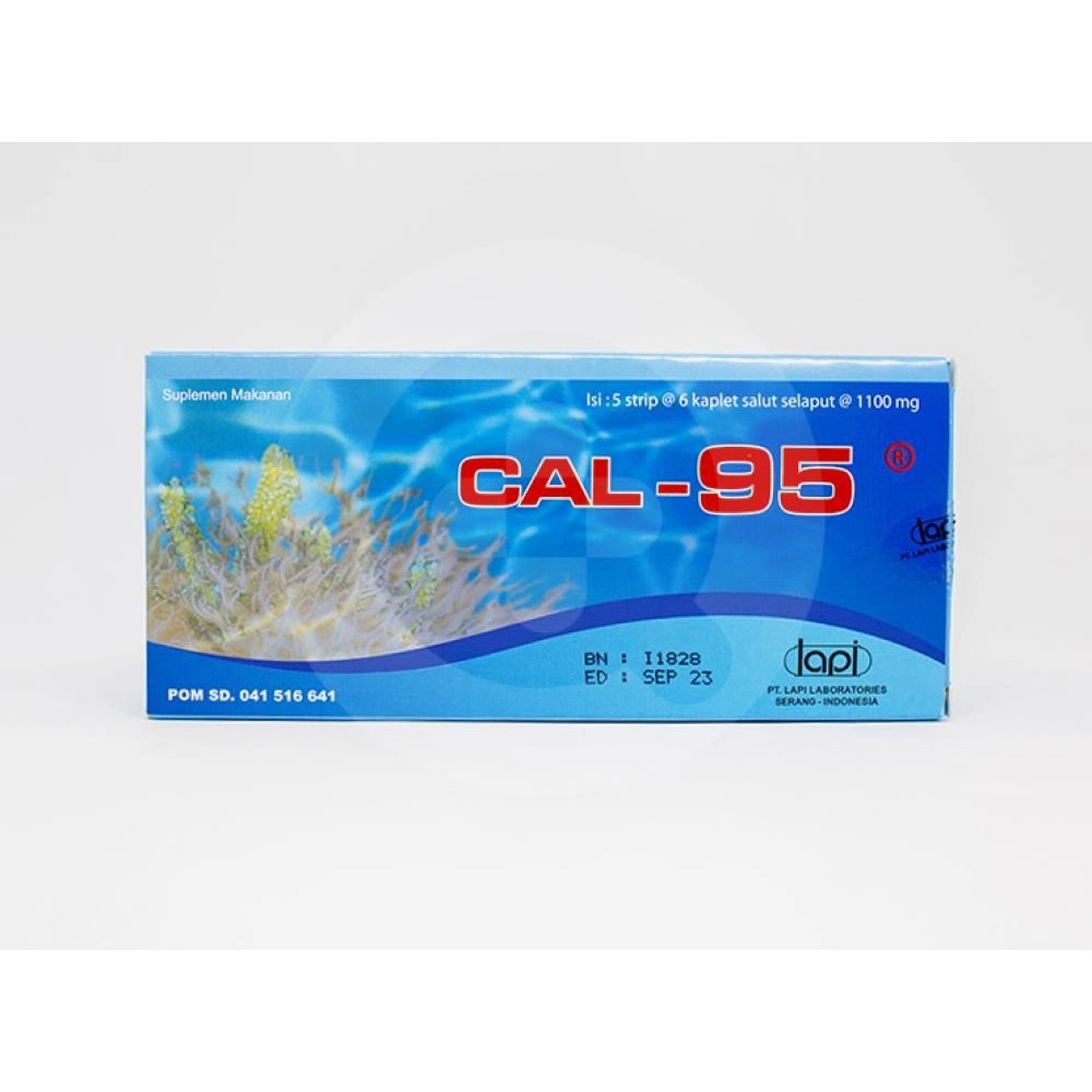 Cal 95 Calcium supplement (strip packaging contains 6 tablets) | Shopee ...
