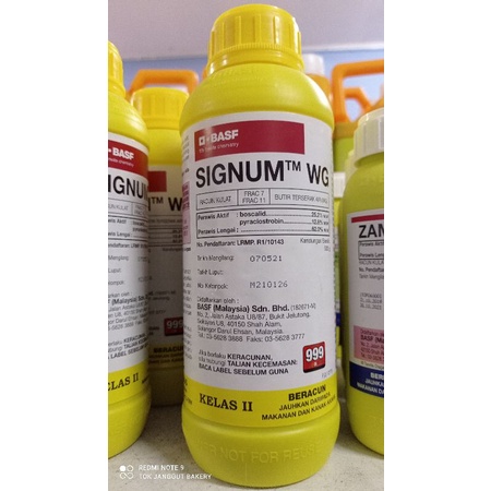 SIGNUM 500WG 500Gm Kulapuk Downy Dan Reput Lapuk Kelabu | Shopee Malaysia