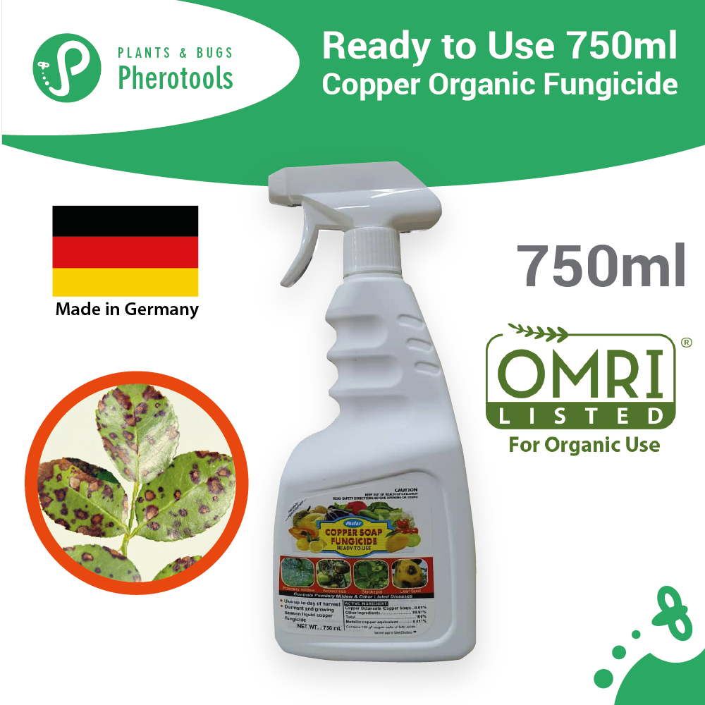 Pherotools COPPER Soap Fungicide Ready to Use (750ml) Kulat ORGANIC ...