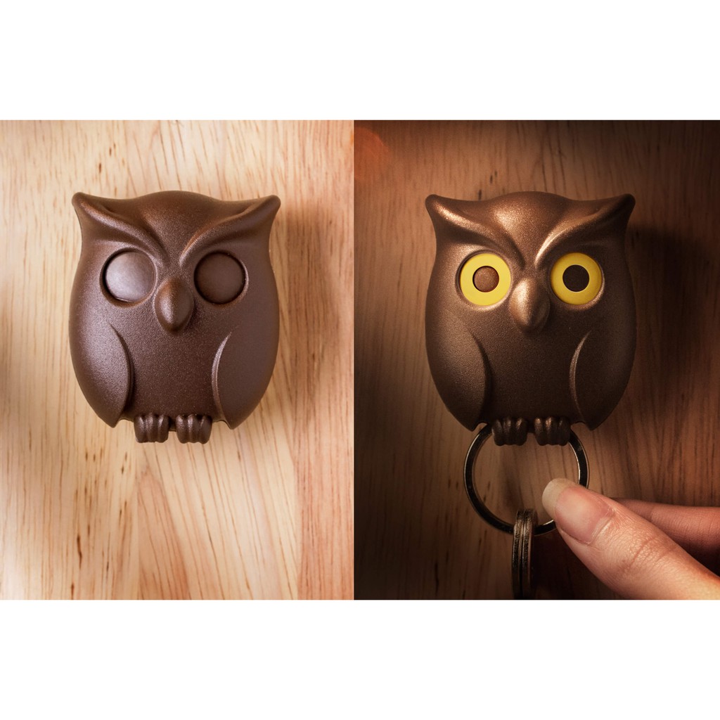 QUALY Night Owl Key Holder (Key Chain Holder - Wall Home Decor - Cute ...