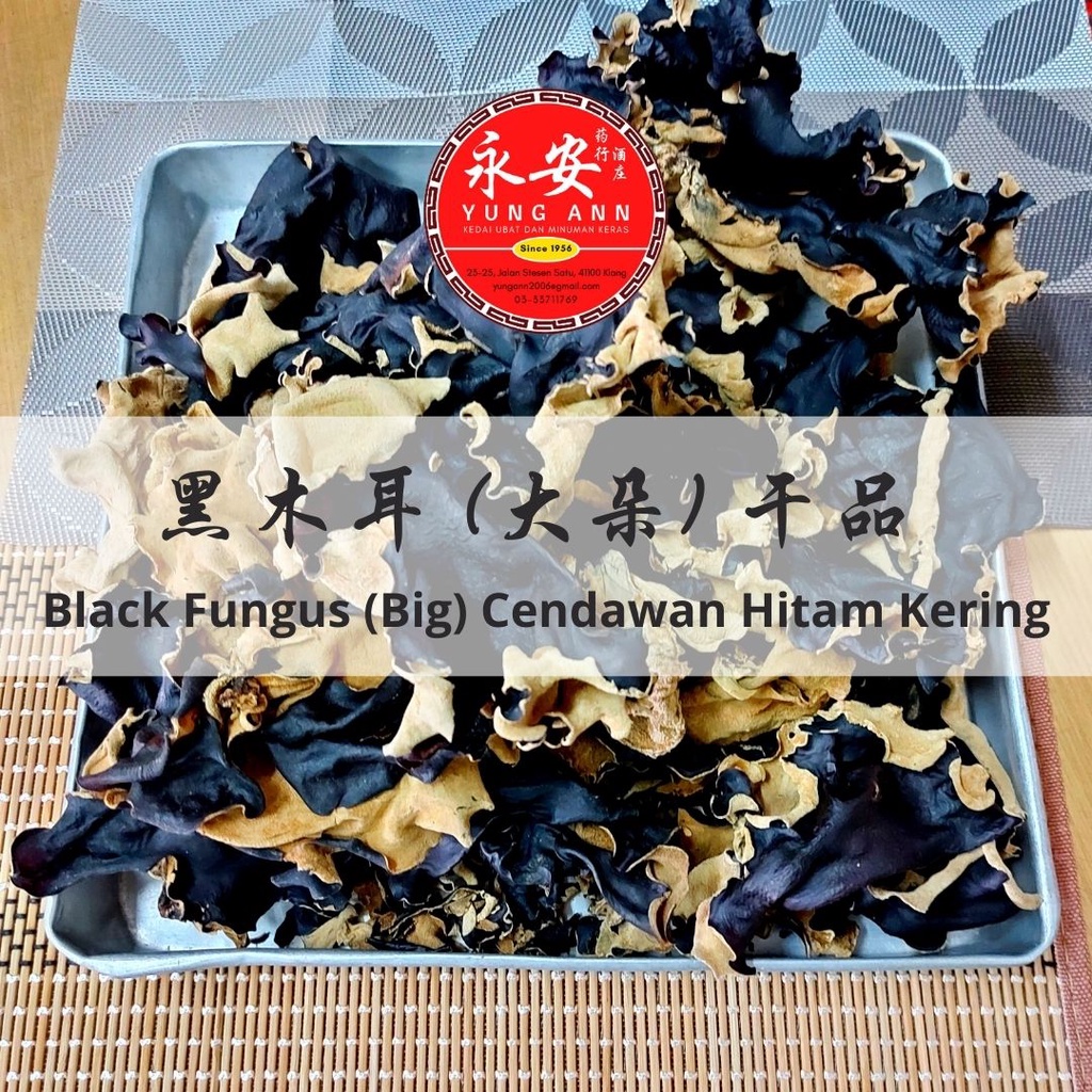 黑木耳 (大朵) 干品 Black Fungus (Big) Cendawan Hitam Kering 50g | Shopee Malaysia