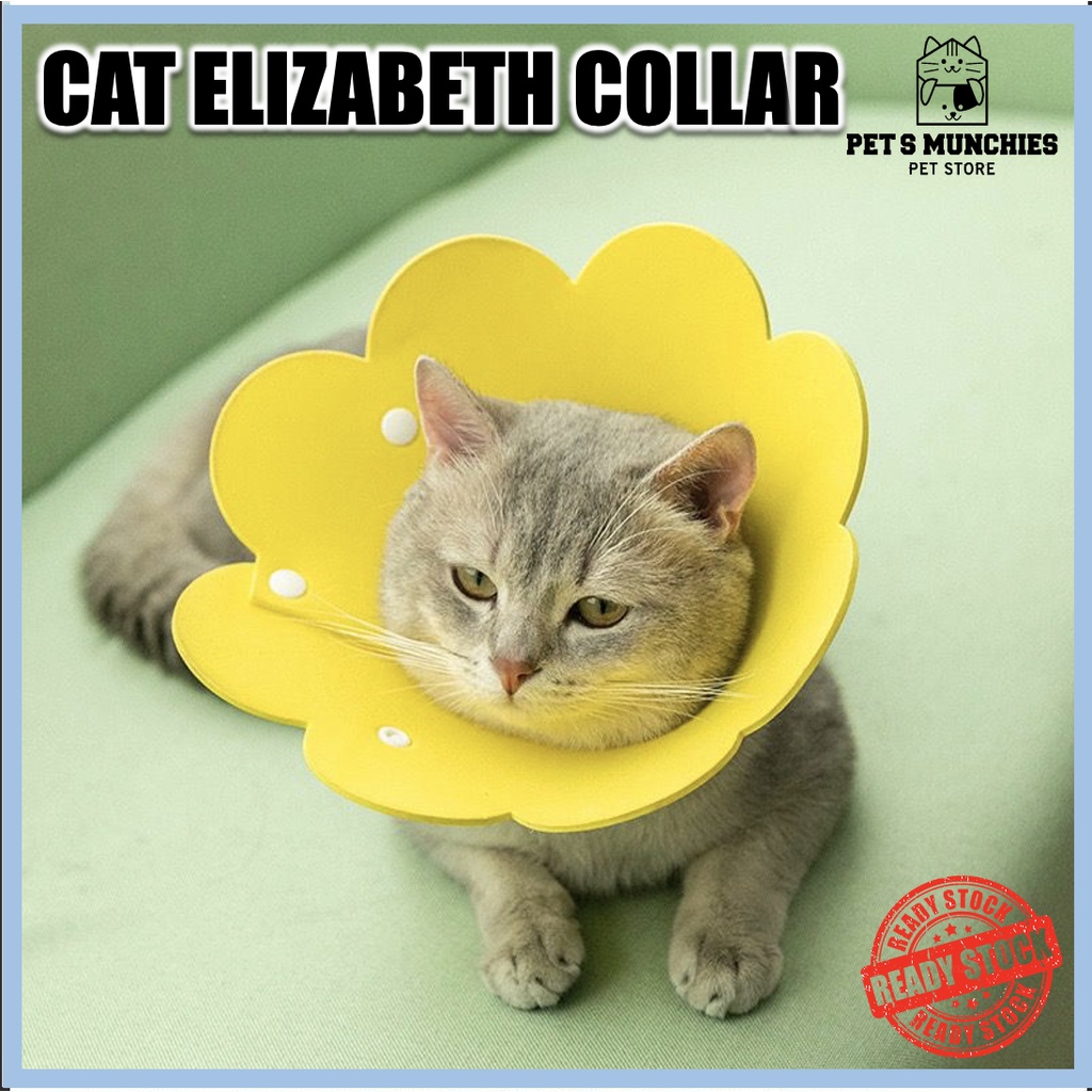 Pet Elizabeth Collars Cat Elizabeth Collars E Collar Pet Cone Collar ...