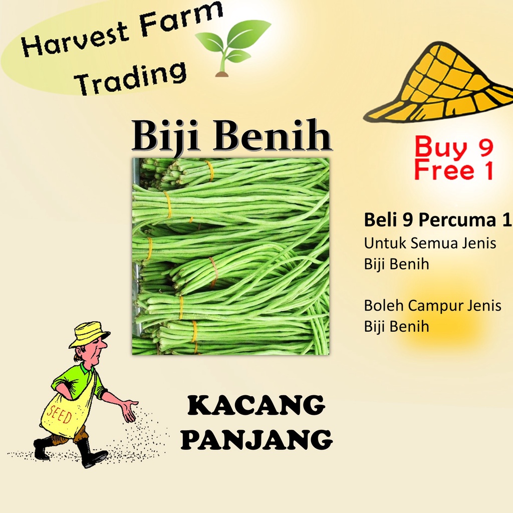 biji benih sayur sayuran pelbagai bunga vegetable seed bibit anak pokok ...