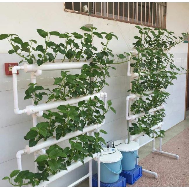 Hydroponic Set S Shape Four Tier / Hidroponik Set 36 holes - DIY ...