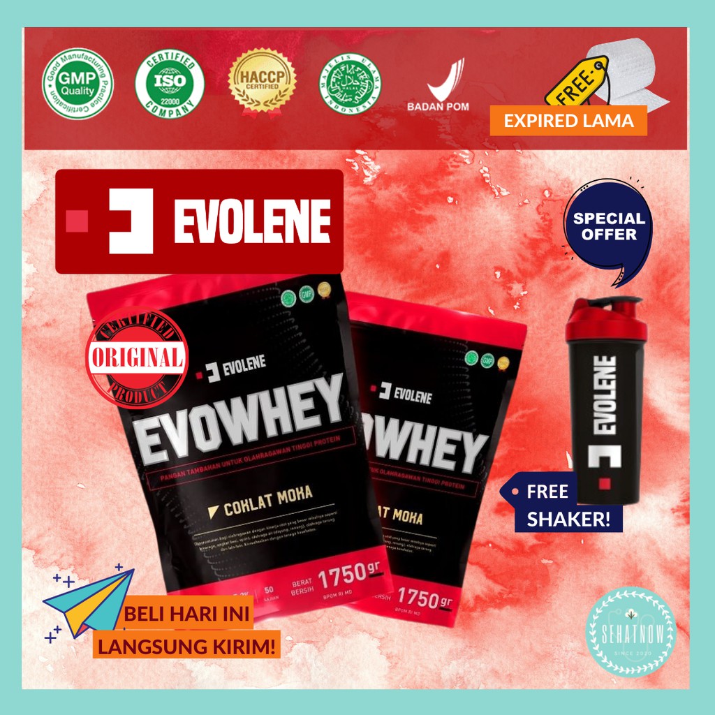 Evolene WHEY PROTEIN EVO WHEY 50 SERVING/SACHET BPOM HALAL MUI ...
