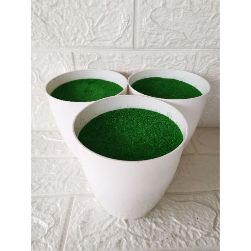 pasu bunga plastik plastic flower pot | Shopee Malaysia