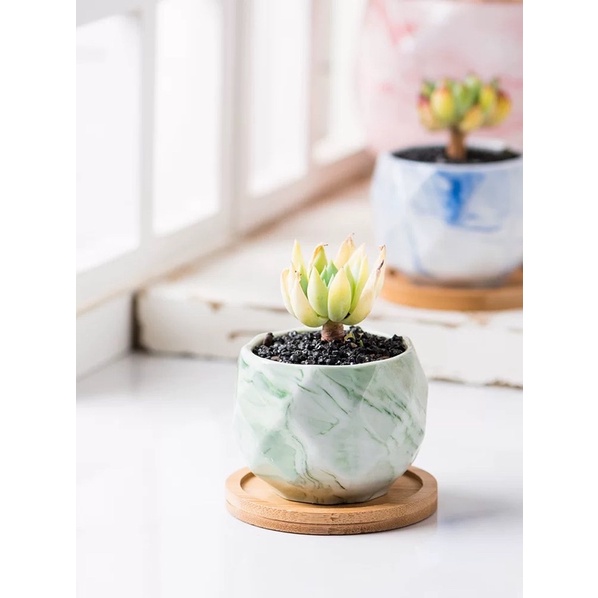 Aesthetic Ceramic Pot Marble Series Faceted Colorful For Succulent ...