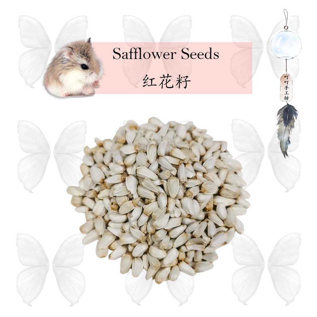 Premium Safflower Seeds 20g Hamster Snack Bird Food Parrot Food 红花籽 ...