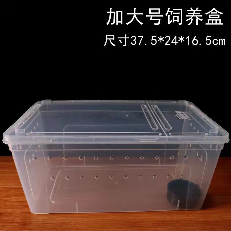 Hamster Cage Acrylic With Accessories Large Big Set Spain Dormouse ...