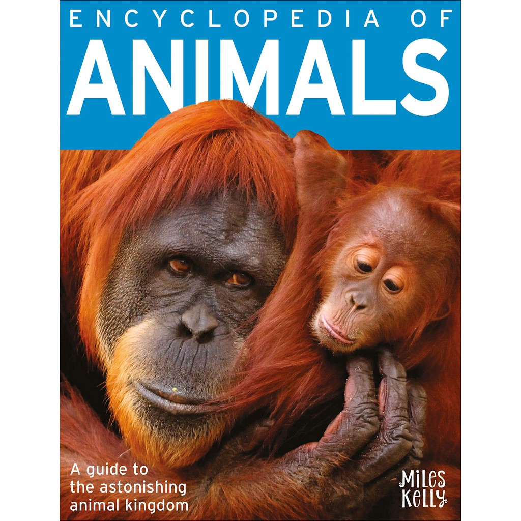 Miles Kelly ENCYCLOPEDIA OF ANIMALS Children Reference 384 pages ...