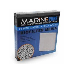 Marine Pure Block 8x8x1" | Shopee Malaysia