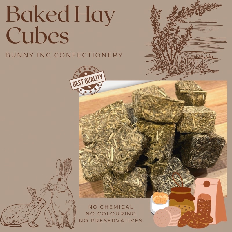 Baked Hay Cubes Rabbit / Bunny food treats ( Made by fresh Timothy ...
