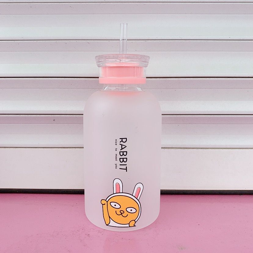 Kakao Friends Korean Frosted Glass Drinking Water Bottle 500ml | Shopee ...