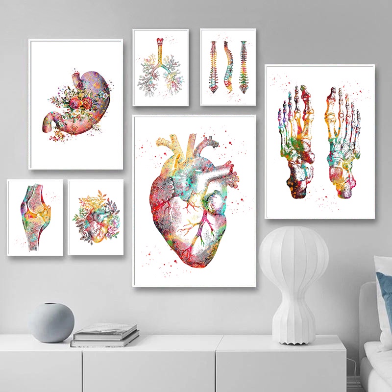 Body Wall Pictures Medical Education Prints Human Muscles System Wall ...