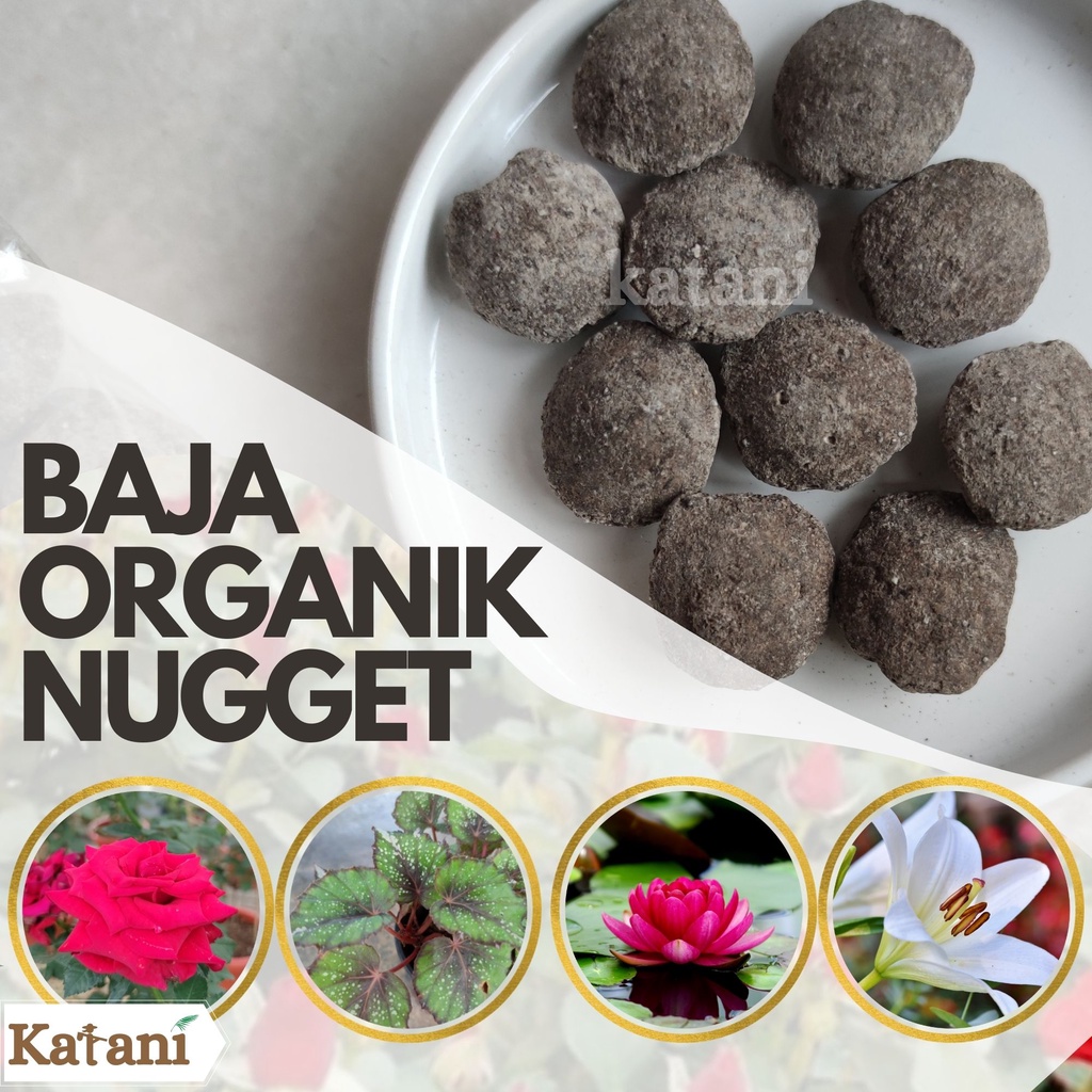 Baja Organik Nugget (10 biji) - Lotus/Lily/Rose/Begonia | Shopee Malaysia