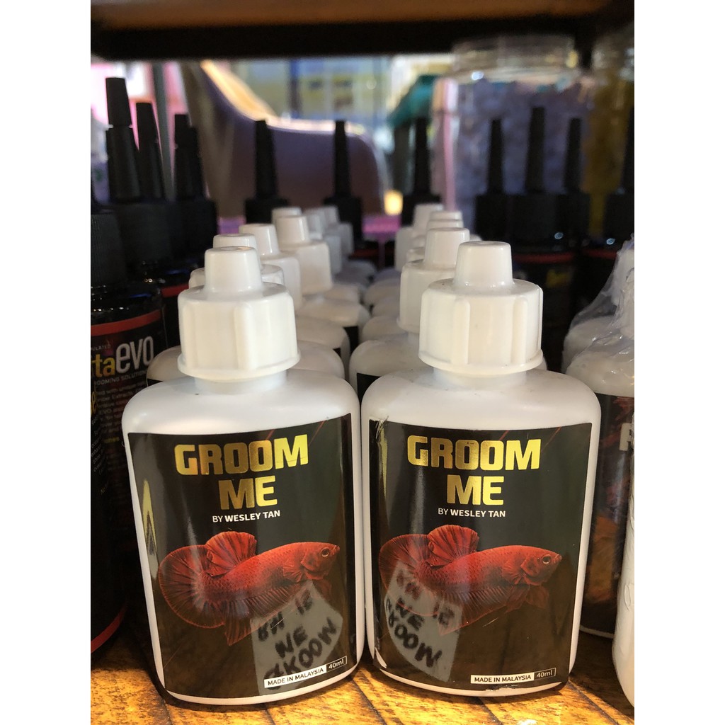 GROOM ME BETTA FISH (for GOOD FORM) | Shopee Malaysia