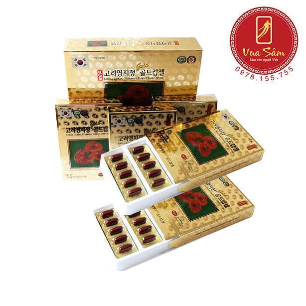 [kgs Product] Ganoderma Lucidum Kgs 99 6g 830mg X 30 Tablets X 4 Boxes