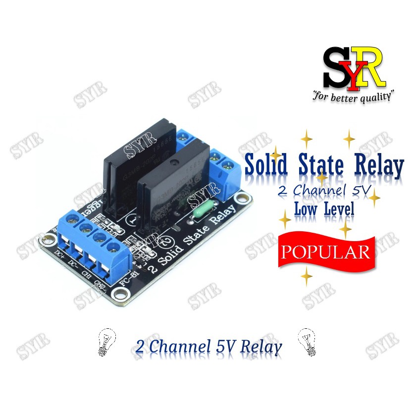 2 Channel 5V Solid State Relay Module (Low Level Trigger) mdl (PR2004B) | Shopee Malaysia