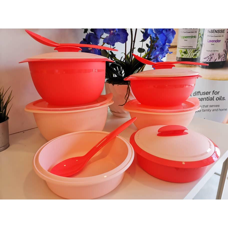 Tupperware Insulated Server With Spoon | Shopee Malaysia
