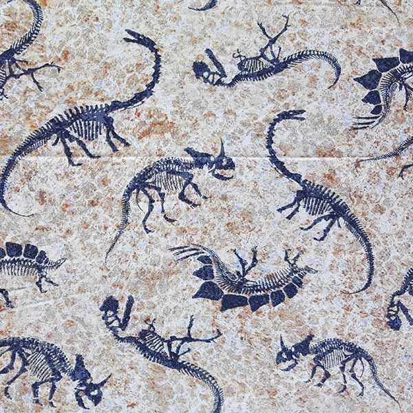 Kain Cotton 100% Designer Cotton Imported Cartoon Kids Dinosaur Fossil ...