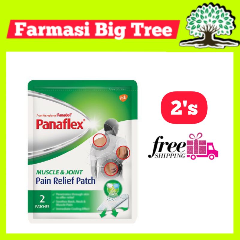 Panaflex Pain Relief Patch (2's) | Shopee Malaysia