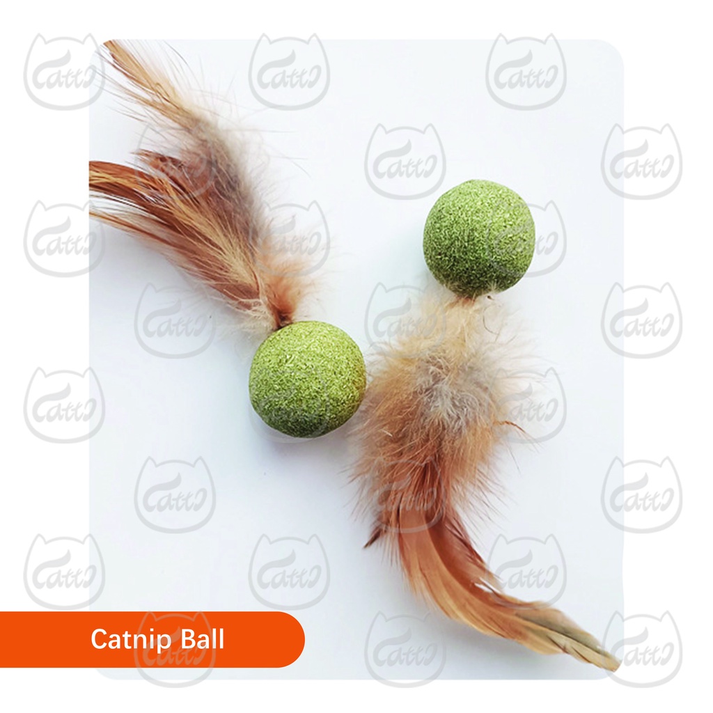 CATTO 5G Pure Catmint Powder Organic Premium Catnip Cat Mint Pokok ...