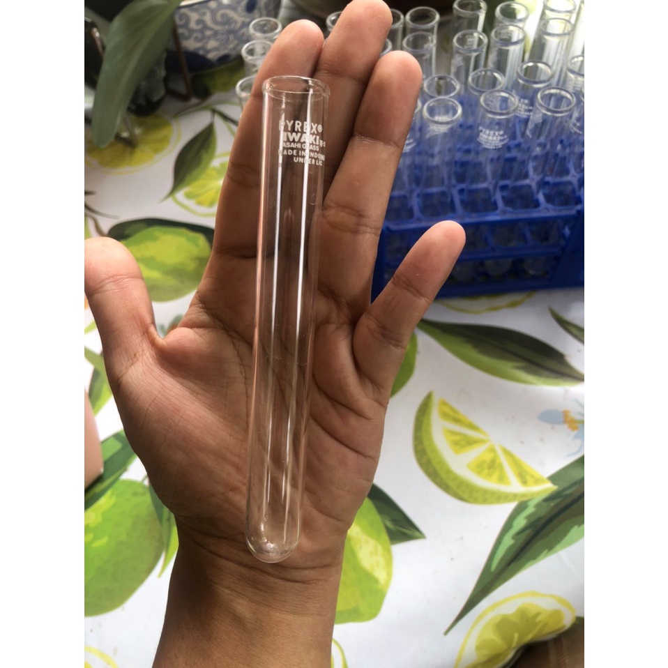 Glass test tube with rim 20 ml and 60 ml Iwaki Pyrex | Shopee Malaysia