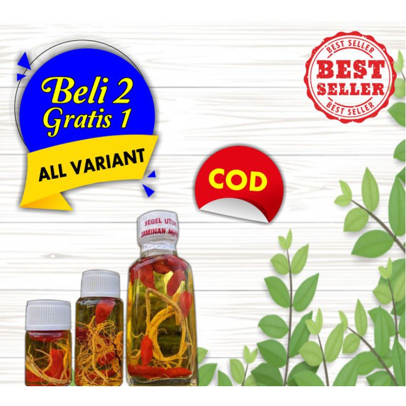 MERAH Original Papuan Red Ginseng Bulus Oil Permanent Breast ...