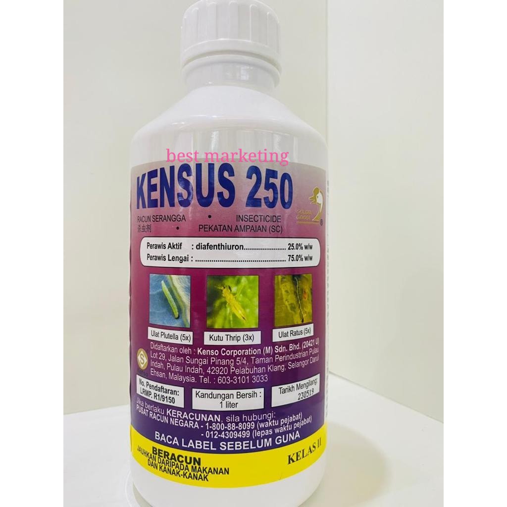 1LIT KENSUS 250 KENSO / Pegasus/ lalat putih | Shopee Malaysia
