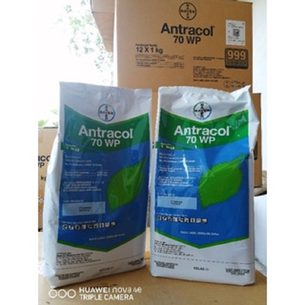 1KG Antracol 70WP Bayer Propineb 80.0% Racun Kulat Pencegahan Fungicide ...
