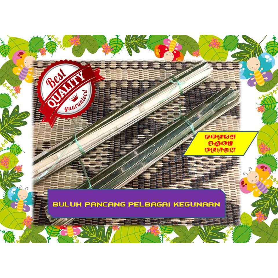 [READY STOCK] 25 BATANG BULUH PANCANG / STACKS /STAND BAMBOO FOR PLANT ...