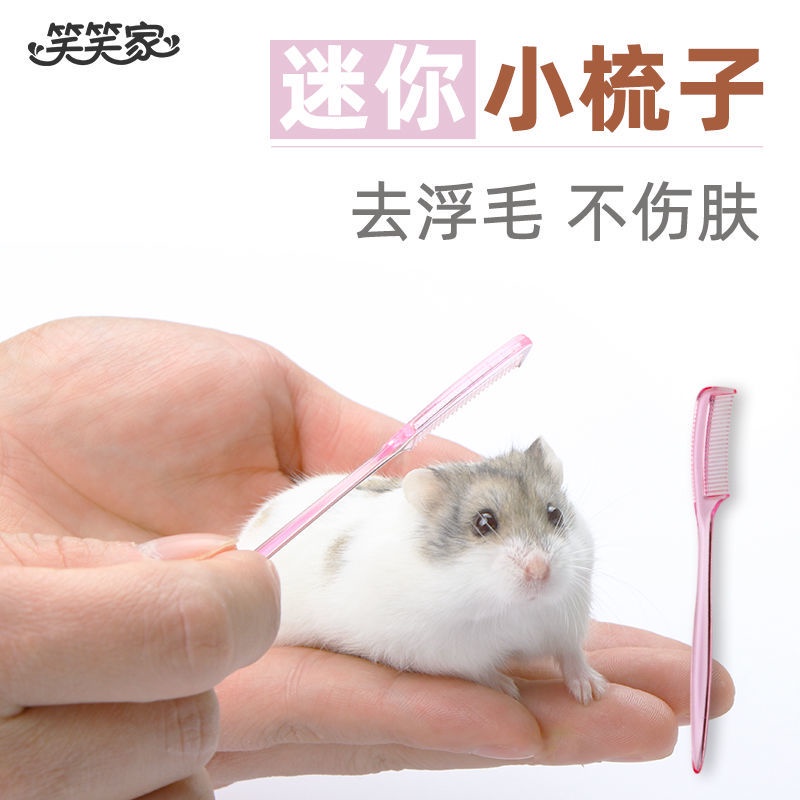 Mini Small Comb Hamster Hair Loss Removal Golden Bear Honey Bag Glider ...