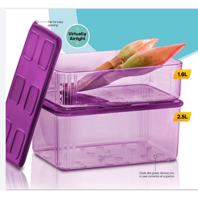 Tupperware Fresh n' Clear Large Set（2pcs） | Shopee Malaysia