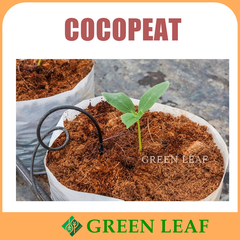 8kg Sabut Kelapa Halus Hancur Fine Coco Peat Semula Jadi Organik Seed ...