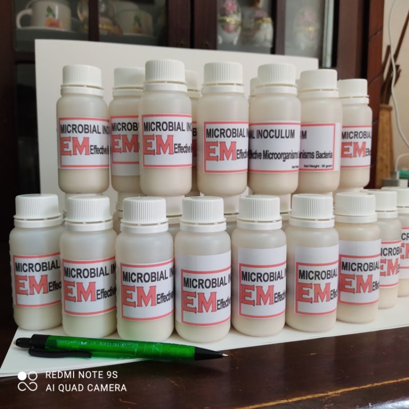 EM(EFFECTIVE MICROORGANISMS).MOTHER CULTURE.MICROBIAL INOCULUM ...