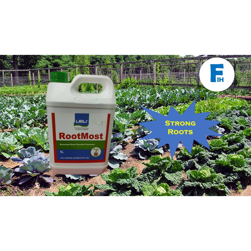 Seaweed Root Growth Promoter – RootMost (5L) | Shopee Malaysia
